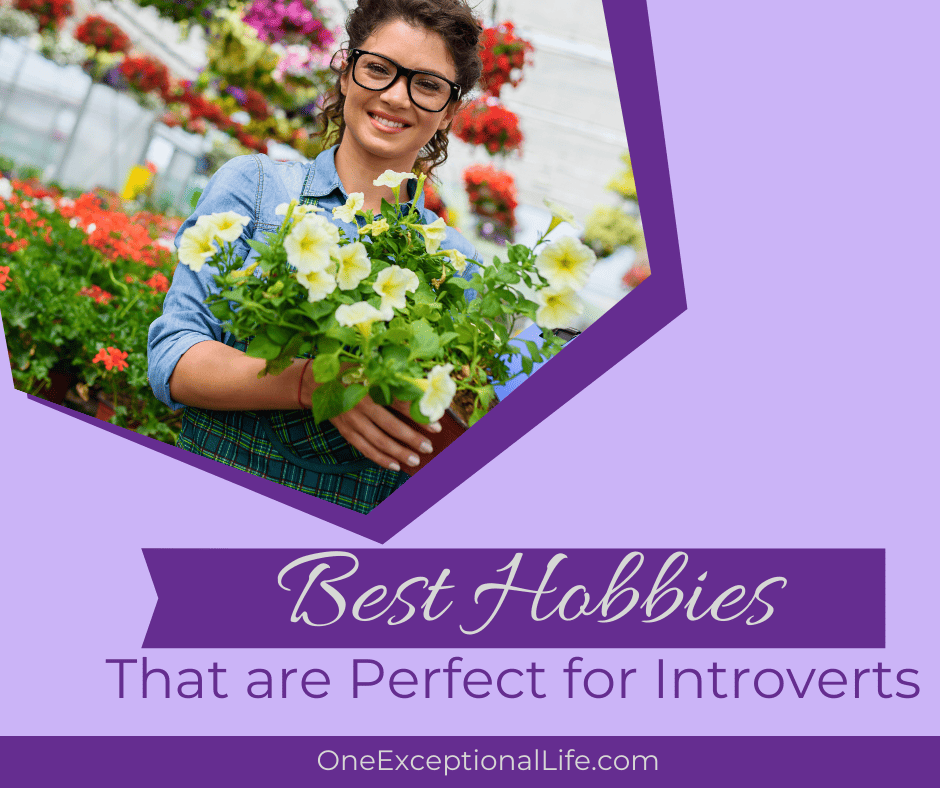 Looking For The Best Hobbies For Introverts?